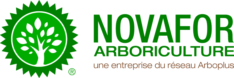 Arboriculteur certifié au Québec - Novafor